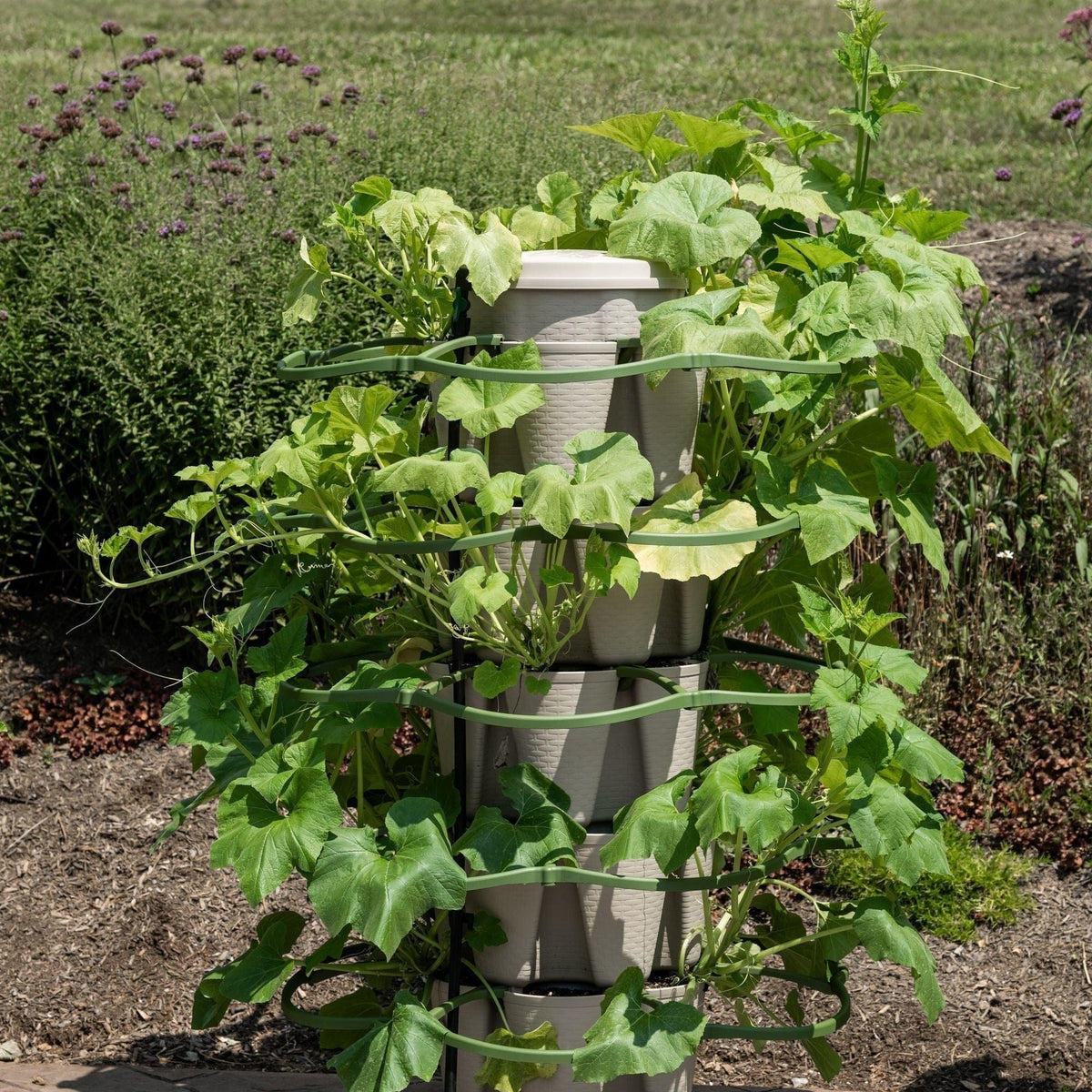 Green Stalk Vertical Planter — Seedtime Store